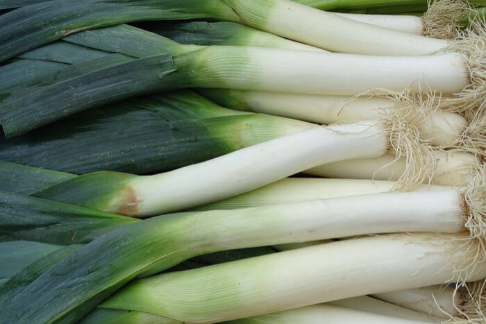 Come piantare il porro | Pineca.it